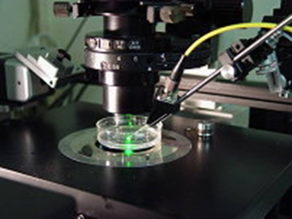 Stereoscope Microinjection Set-Up Using LTM-1000