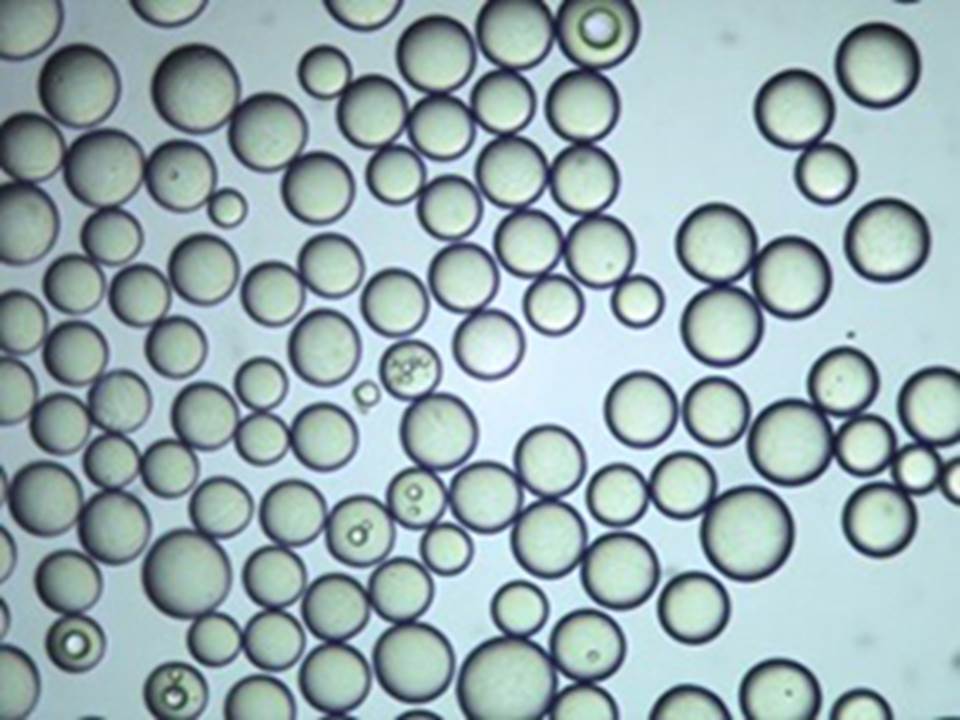 Compass-image by pattern-projection method .jpg